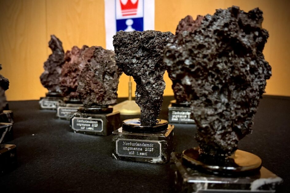 Sjakkforbundet | Nordisk for ungdom 2025